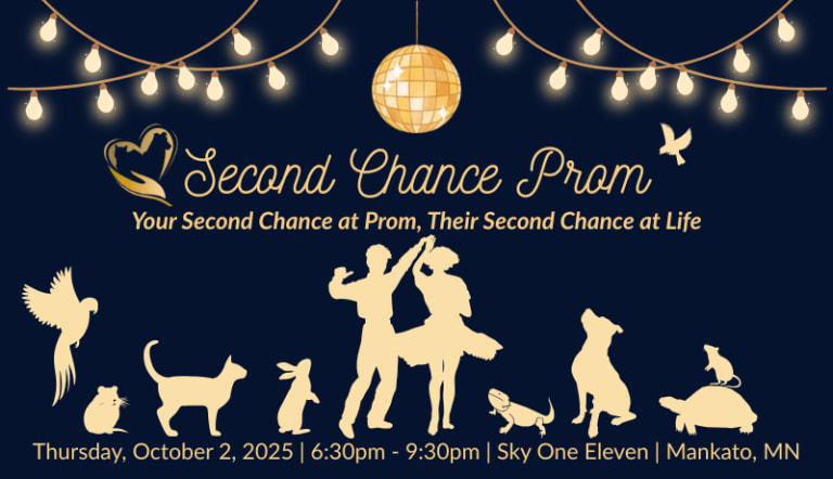 Offers - Second Chance Prom | BetterUnite