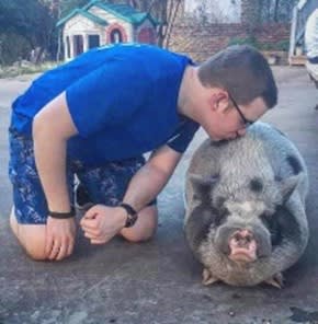 Peter the Pig by Safe in Austin | BetterUnite