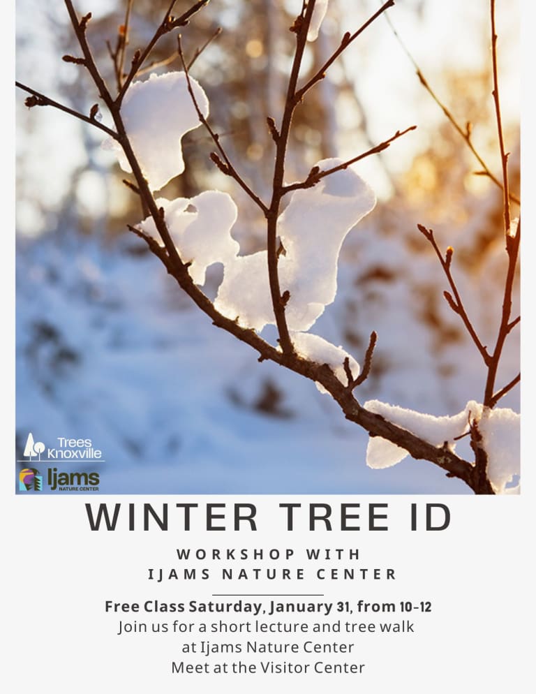 Winter Tree ID at Ijams Nature Center by Trees Knoxville | BetterUnite