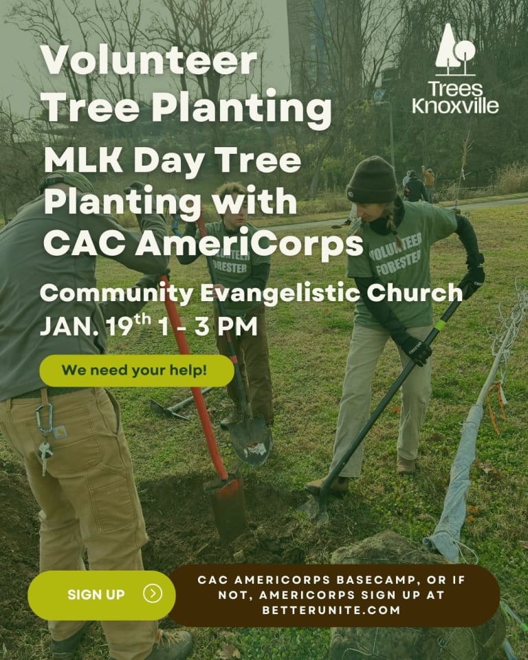 MLK Day Tree Planting with AmeriCorps by Trees Knoxville | BetterUnite