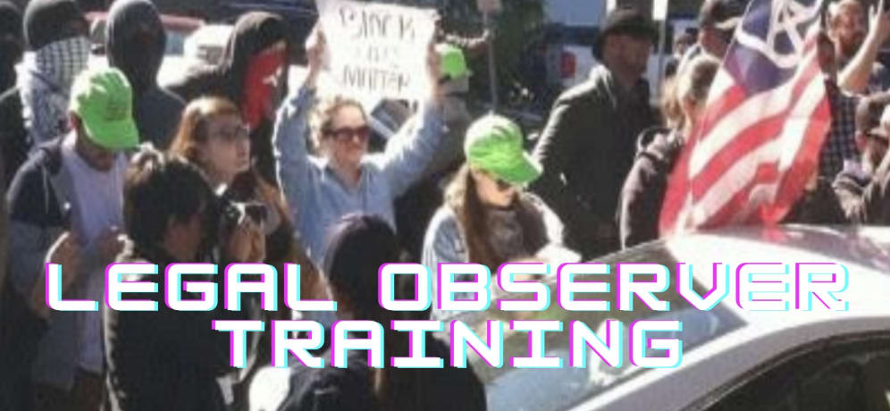 Legal Observer training: make a difference at demonstrations (Austin ...