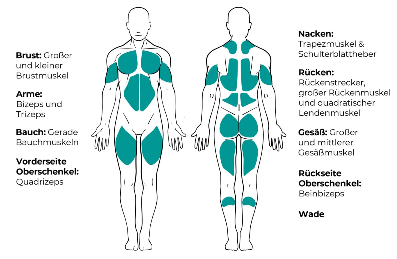 What is EMS training? All the facts at a glance - Antelope