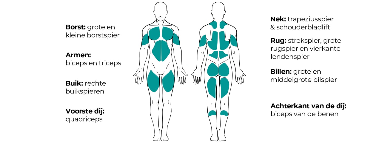 Wat is EMS training? Ontdek alles in één oogopslag - Antelope