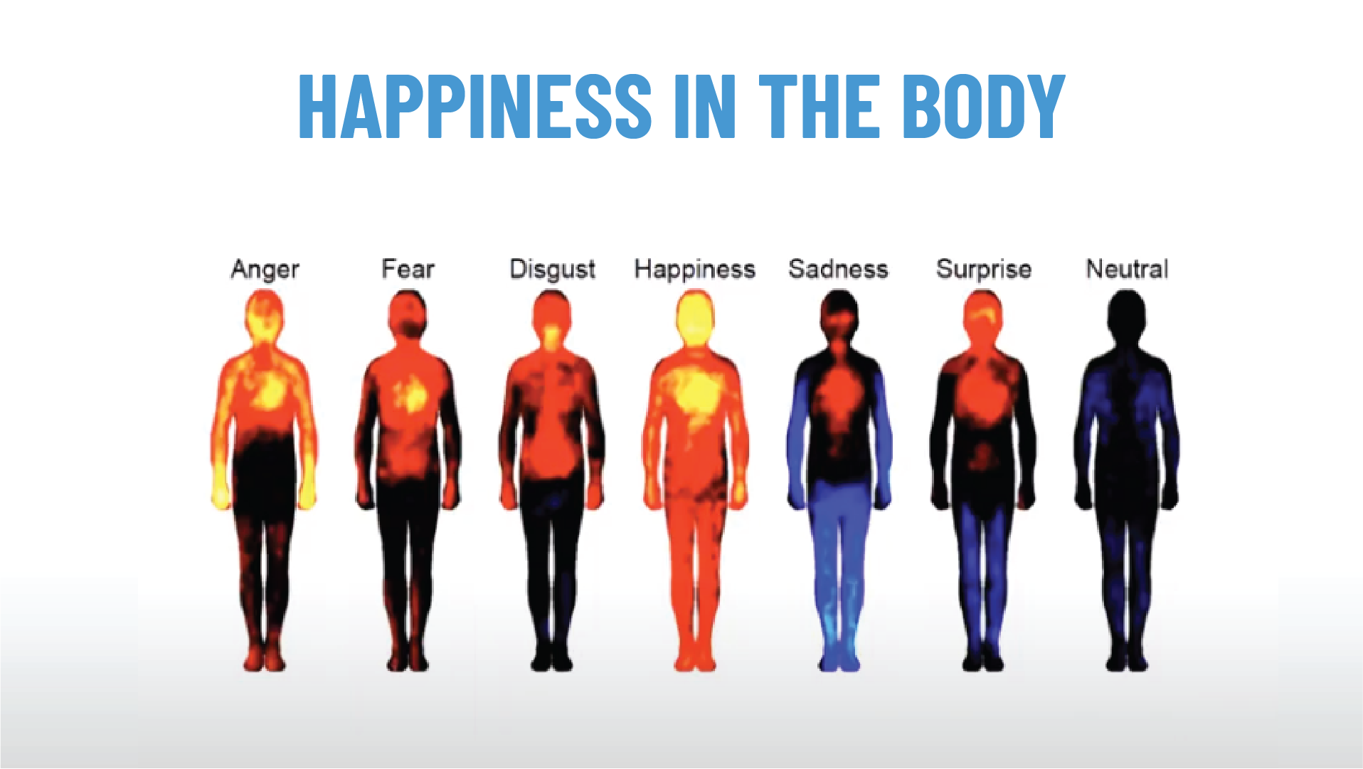 Understanding happiness to thrive in the workplace,