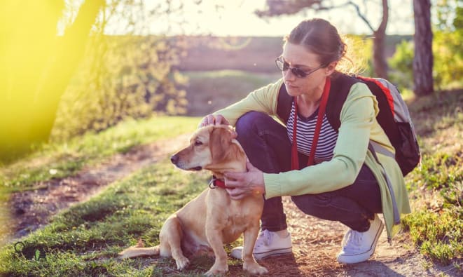 Comment enlever une tique de votre chien