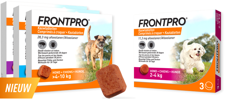 vlooien- en tekenbehandelingen voor honden en katten | FRONTLINE®