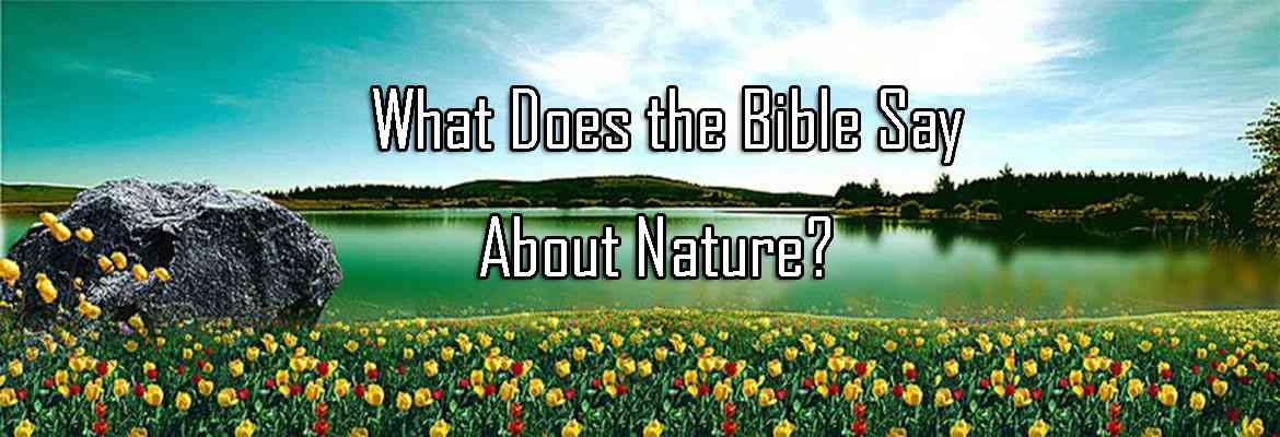 41 Bible Verses About Nature — 3 Meaningful and Best Earth Day Activities