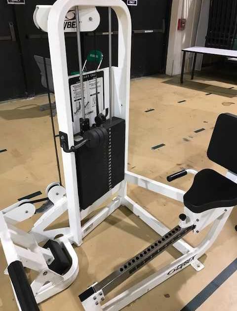 Cybex Rotary Calf Machine - BidCorp Auctions