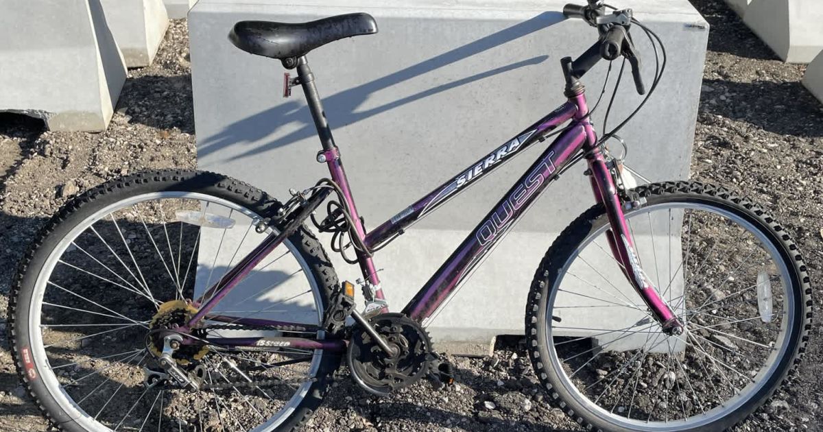 Pink/Purple Sierra Quest Bike - BidCorp Auctions
