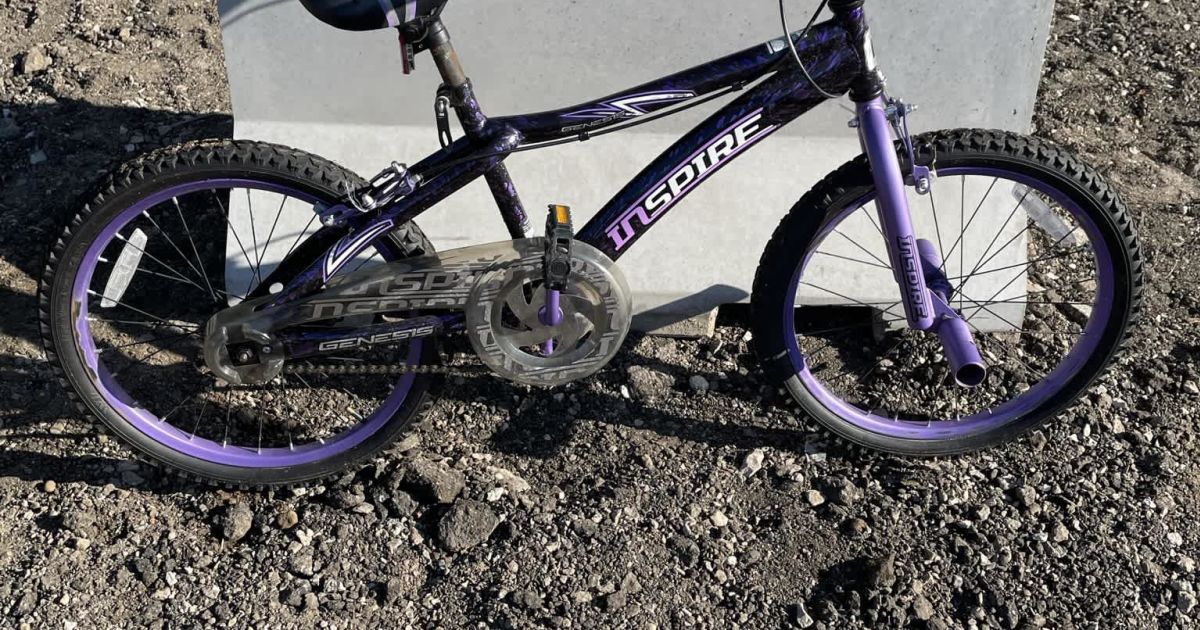 Purple and Black Genesis Inspire Bike - BidCorp Auctions