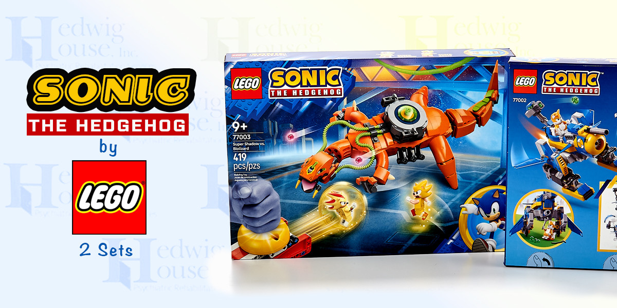 Sonic the Hedgehog Legos | hedwig50 | Bid Now - ☑ $71 ...