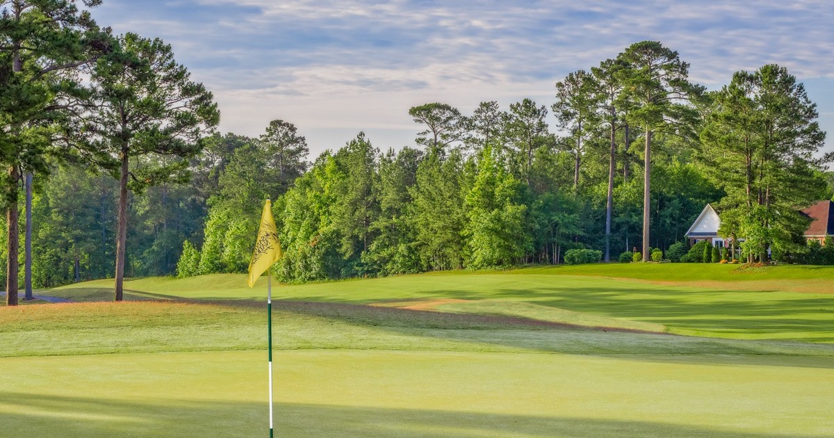 Foursome to Santee National (4 passes for golf and cart) | f ...