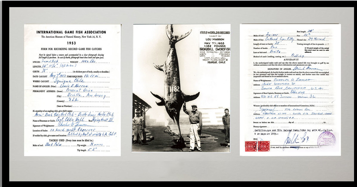 Lou Marron’s Original Broadbill Swordfish Record | 202 ...