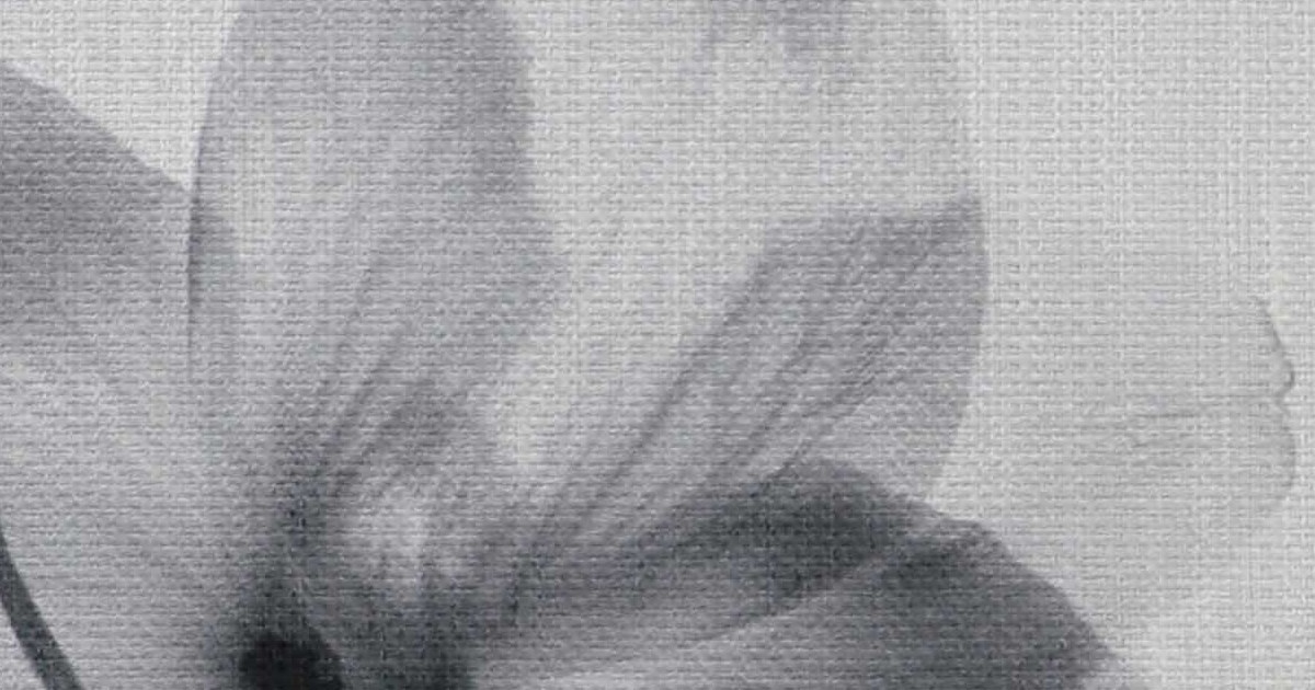 Wall Art by Splashworks | wcds | Bid Now - ☑ $73 ...