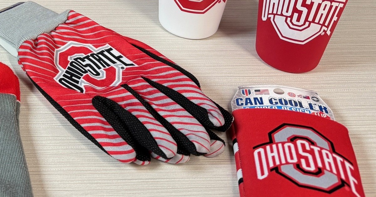 Ohio State Fan Basket! | charger24 | Bid Now - ☑ $42 ...
