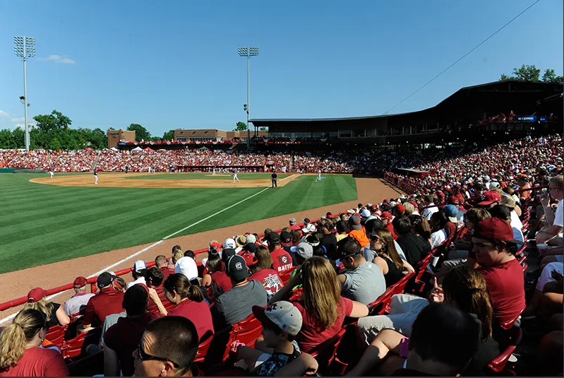Gamecock Baseball Gameday Experience | gamecocksb | Bid Now ...
