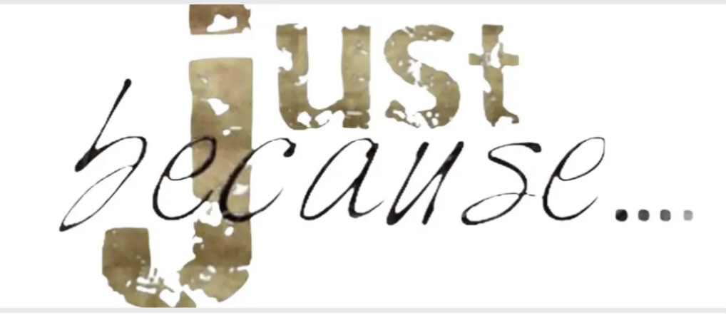 Just Because | childsupportauction | Bid Now - ☑ $82 ...