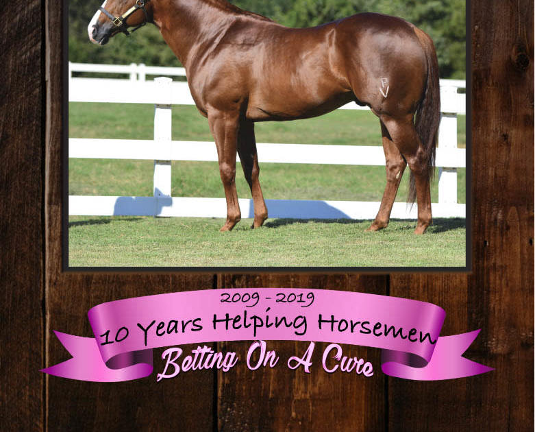 Jess Good Candy | stallions | Bid Now - ☑ $9550 ...