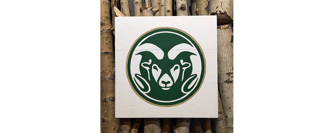 Hand Painted CSU Sign | skywalkersocial | Bid Now - ☑ $56 ...
