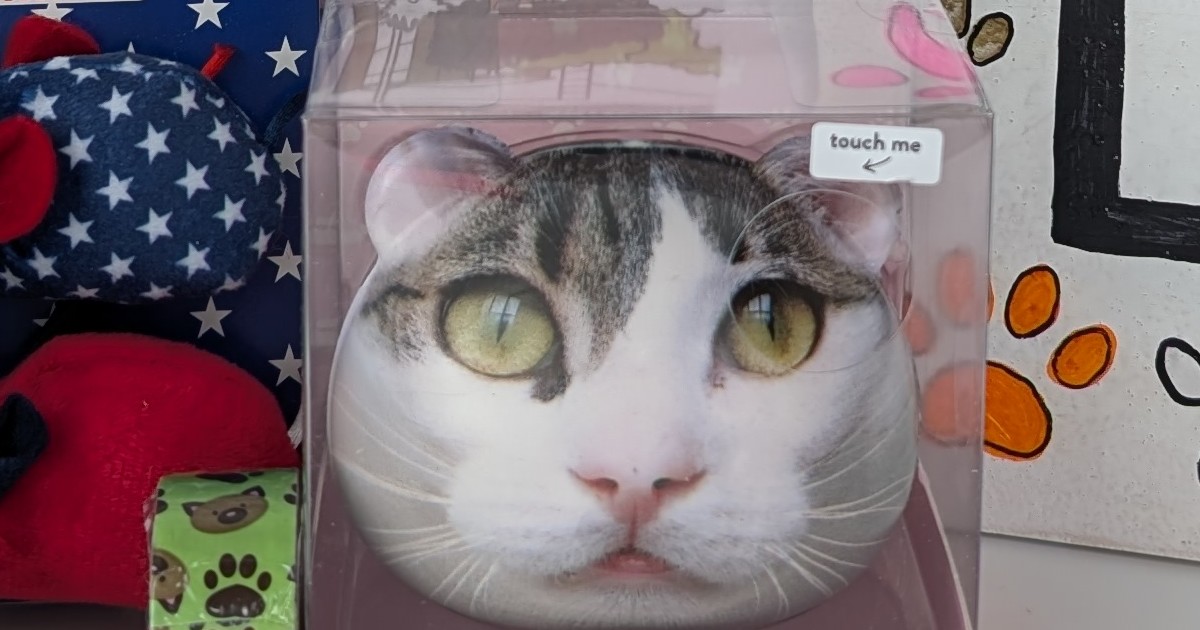 Cat Lady Basket of Goodies | pca2025 | Bid Now - ☑ $46 ...