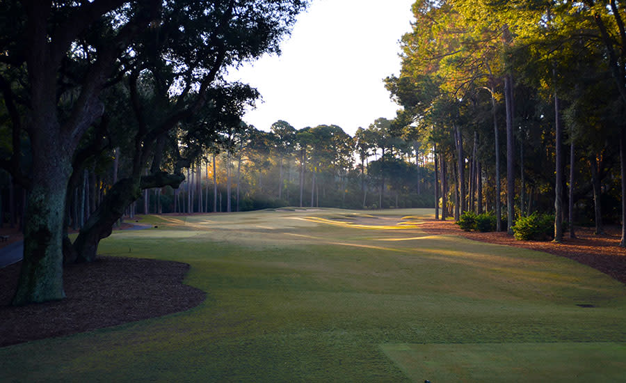 Sea Pines Country Club Golf for 4 w/Carts - Value $800 + Com ...