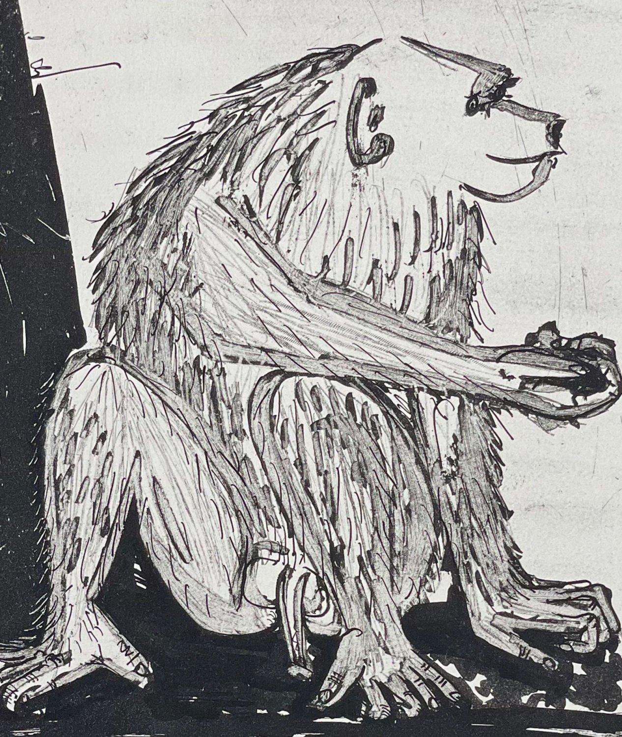 Antique Books, Maps, & Prints of Natural History, Botanicals, & More ...