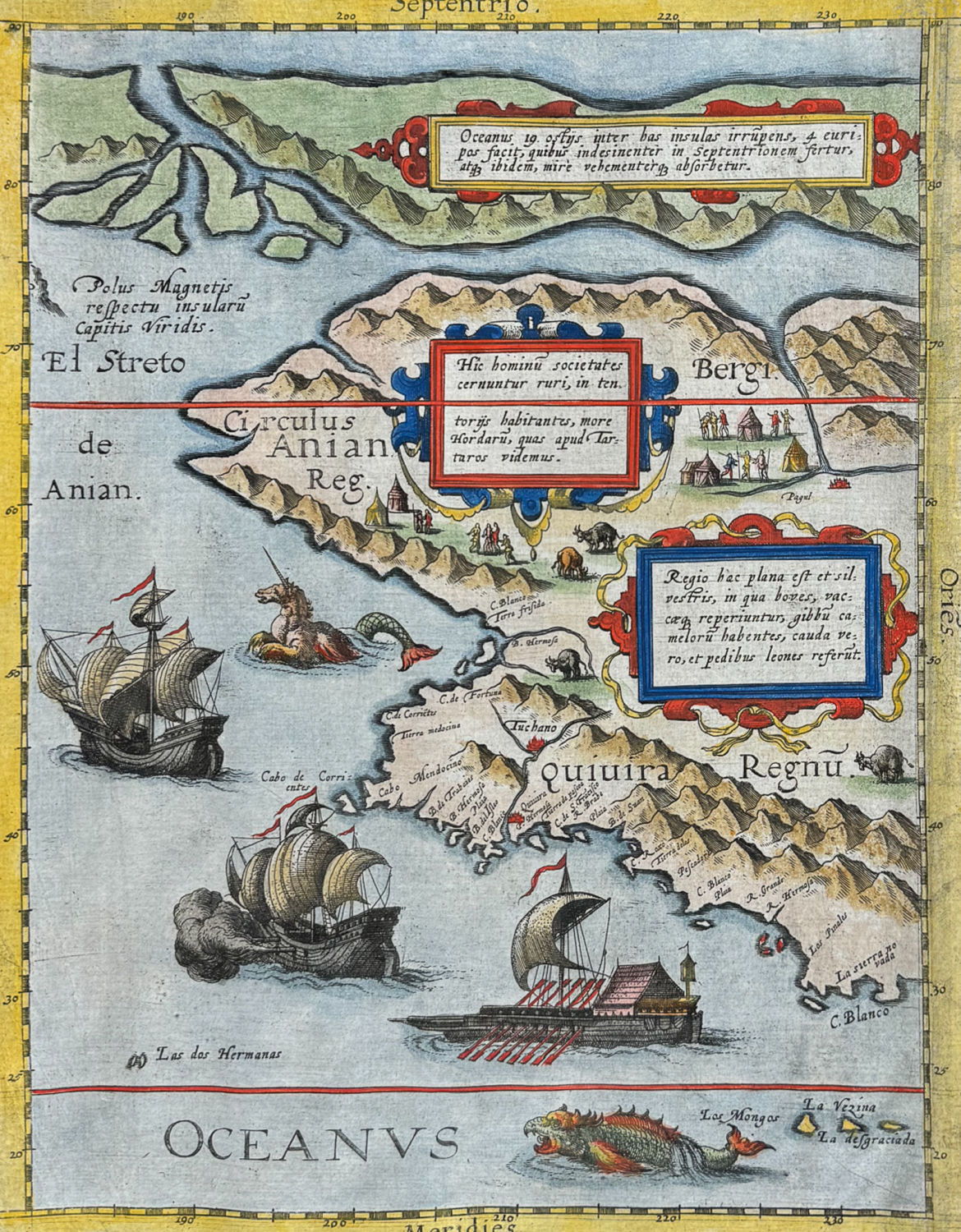 Antique Maps & Prints of Natural History, Botanicals, & More | Trillium ...