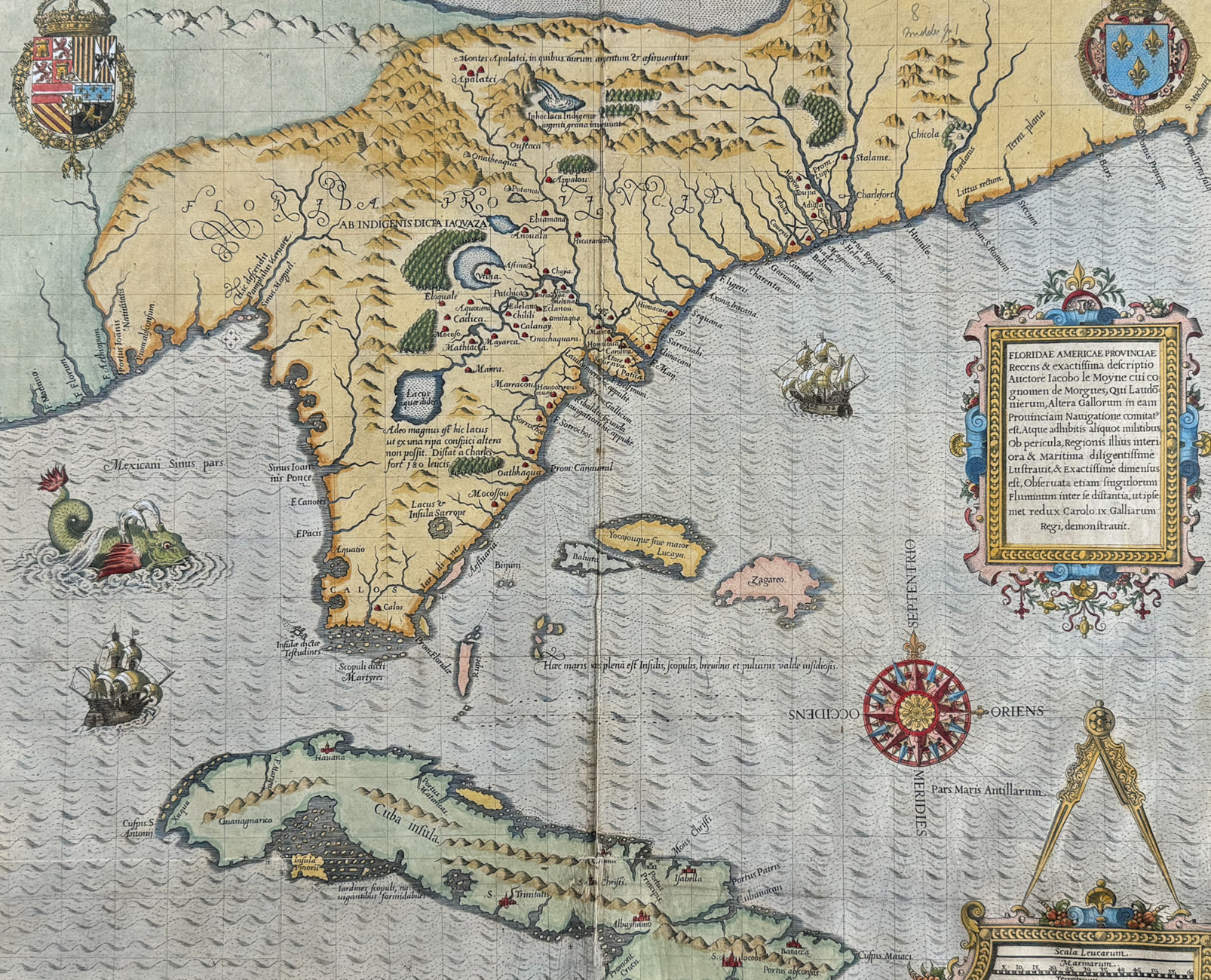 Antique Prints, Maps, & Books of Natural History, Botanicals, & More ...