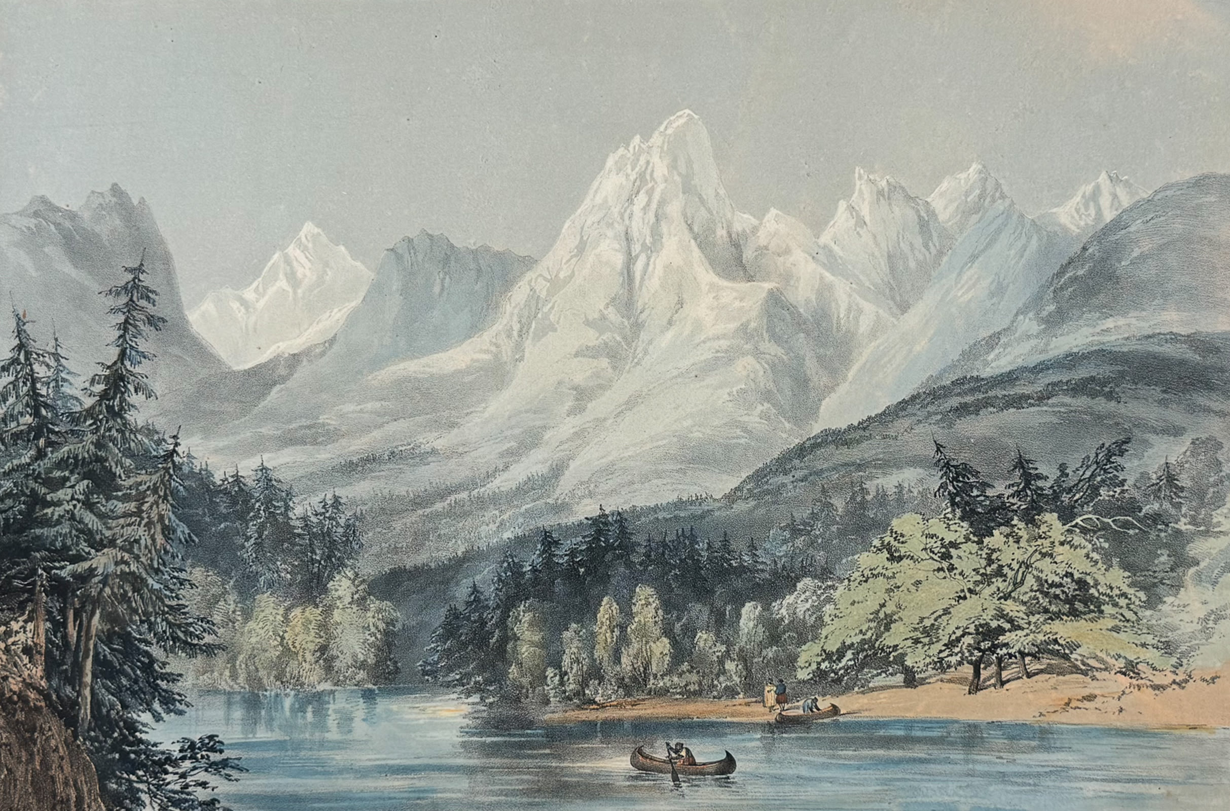 Antique Prints, Maps, & Books of Natural History, Botanicals, & More ...