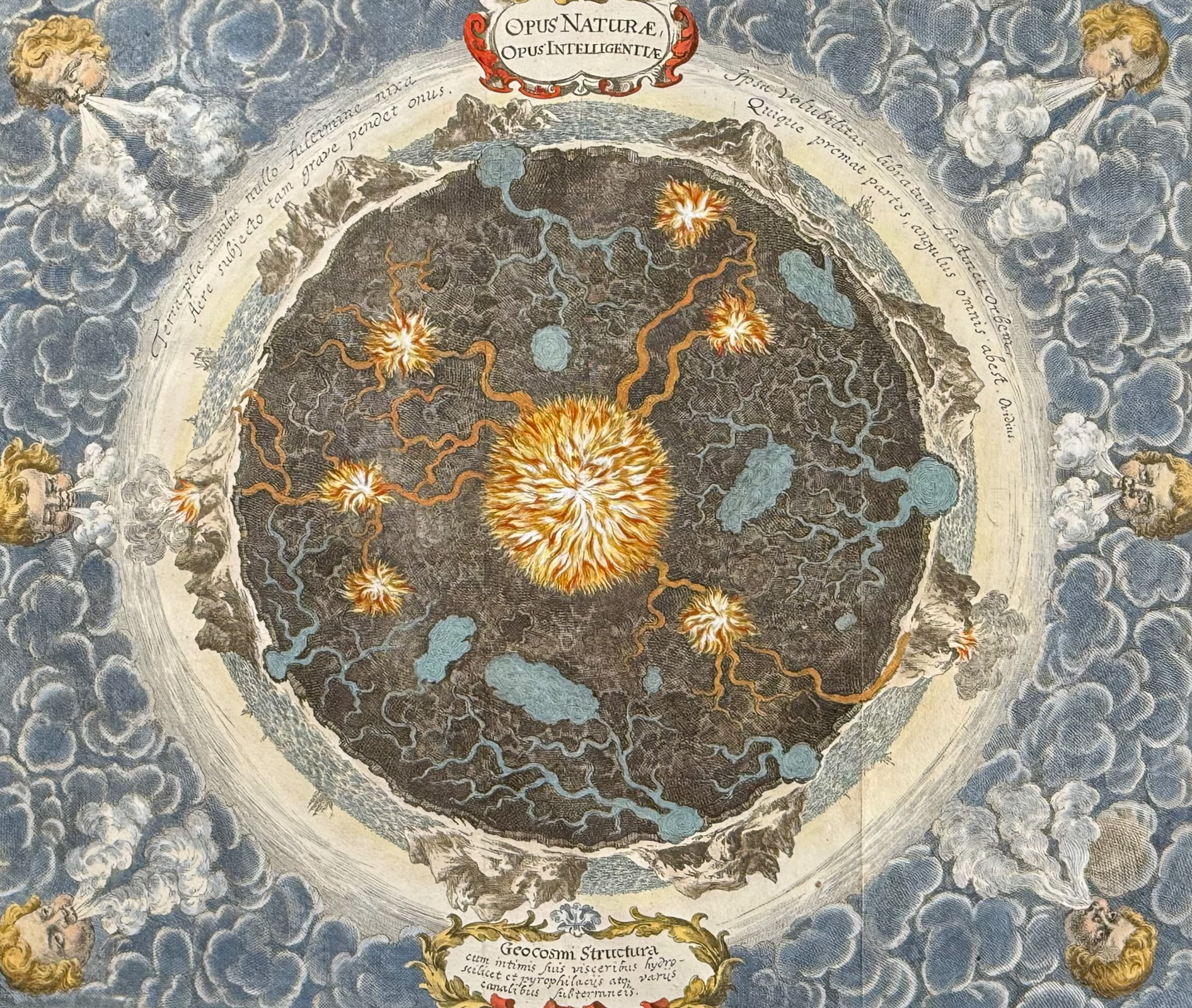 Antique Maps & Prints of Natural History, Botanicals, & More | Trillium ...