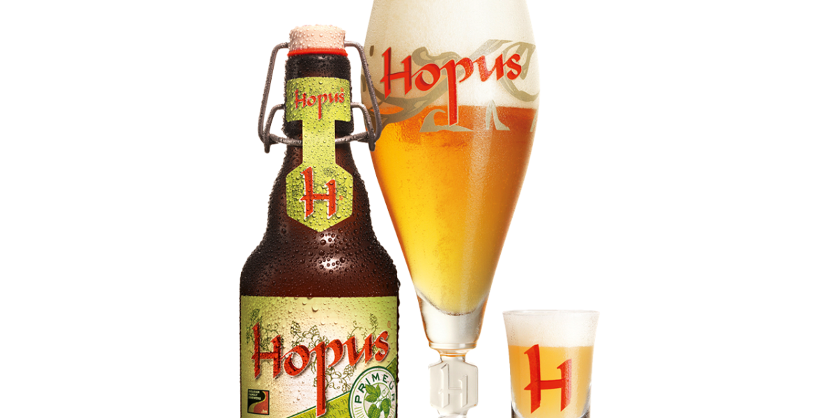 Brouwerij Lefebvre lanceert Hopus Primeur 2019