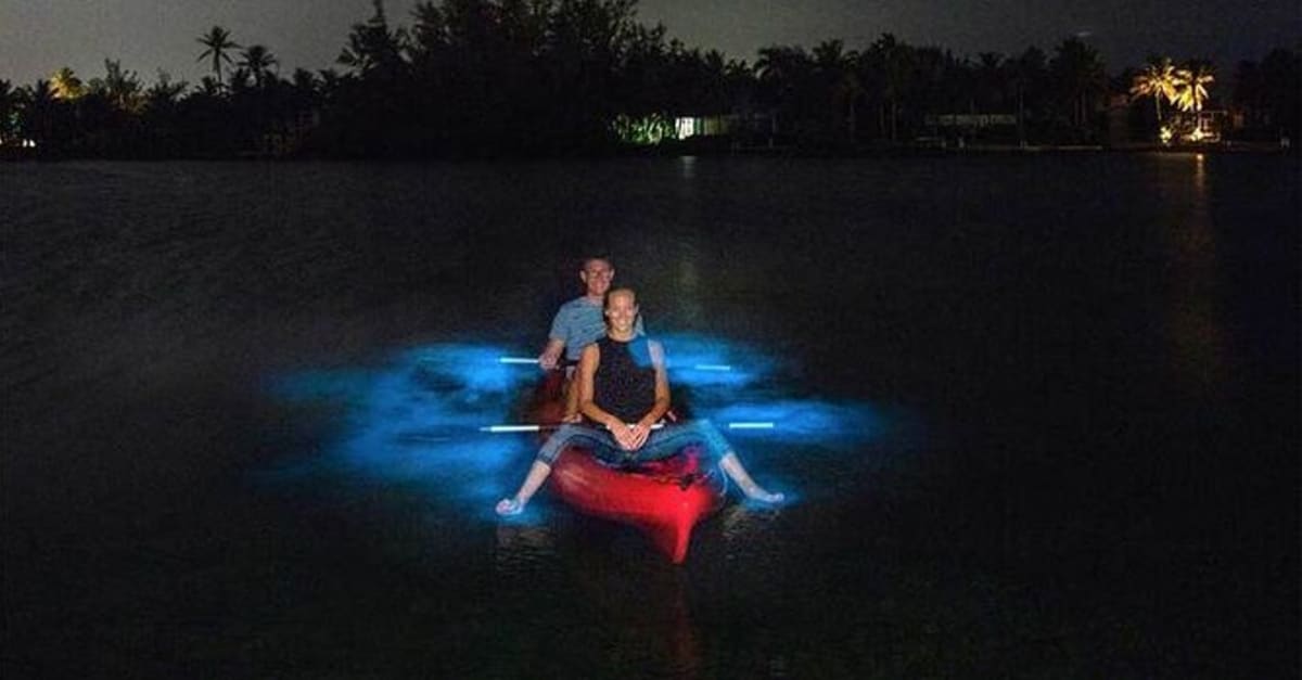 Experiencias de bioluminiscencia marina más impresionantes | Billionhands