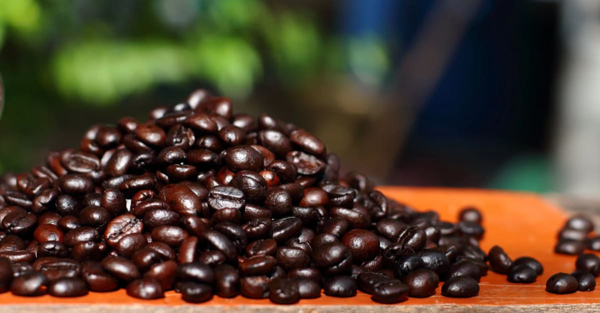 Guía definitiva para amantes del café: trucos y consejos | Billionhands