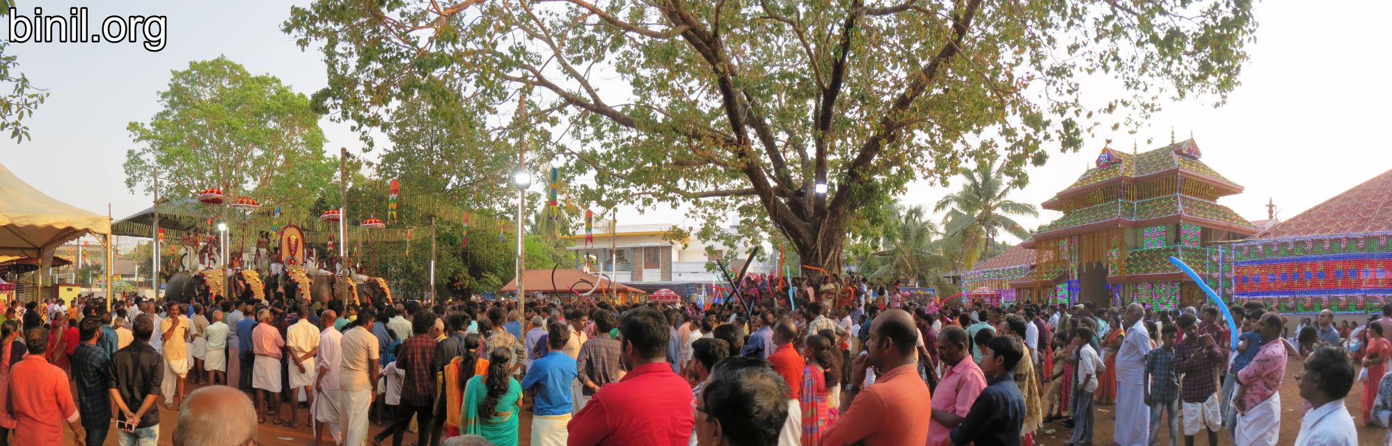 Thiruvanikkavu Bhagavathy Temple Ollukkara - Binil's Travelogue