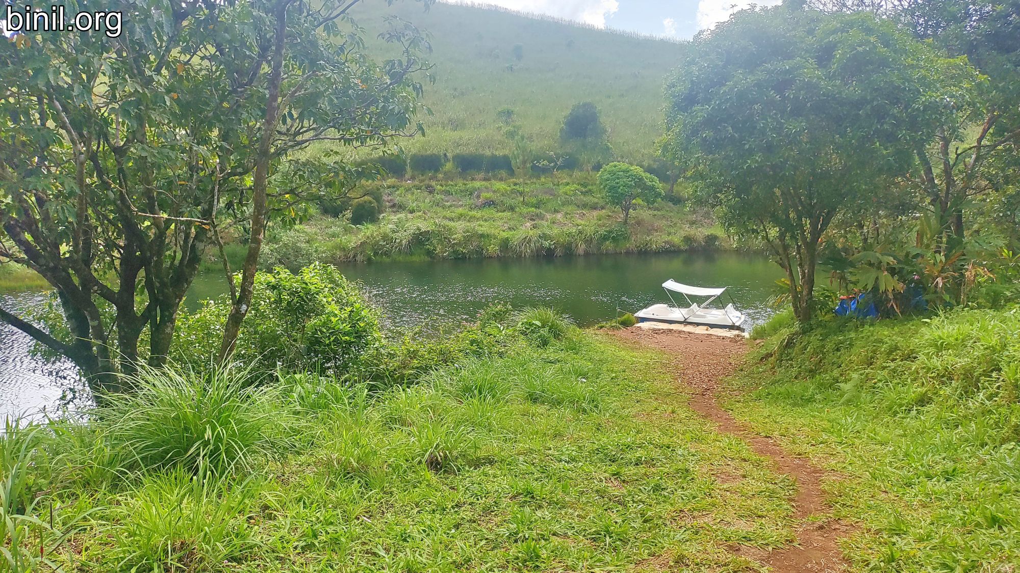 Vagamon Orchidarium and Floriculture Project - One of the Comprehensive ...