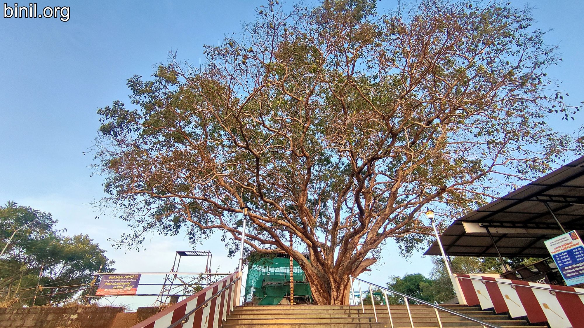 Kerala Pazhani Chocherikunnu Sree Subramanya Swami Temple - for a ...