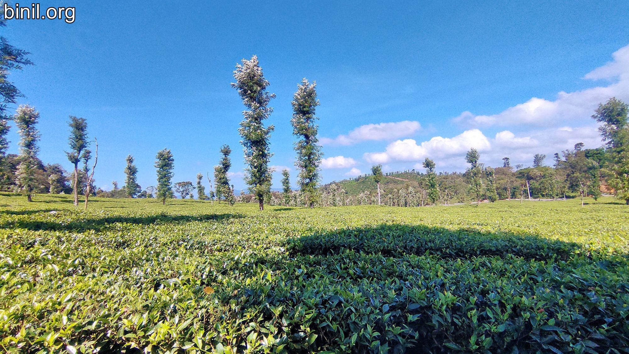 Meenmutty Waterfalls Wayanad - serene and beautiful - Binil's Travelogue