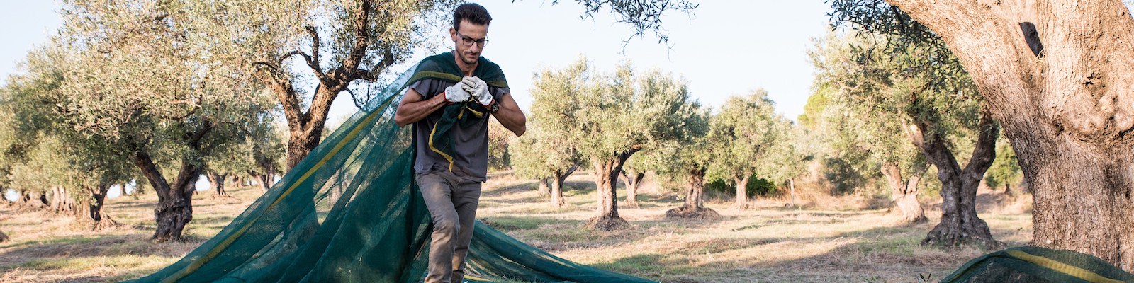 Mario Morelli - Biorfarm