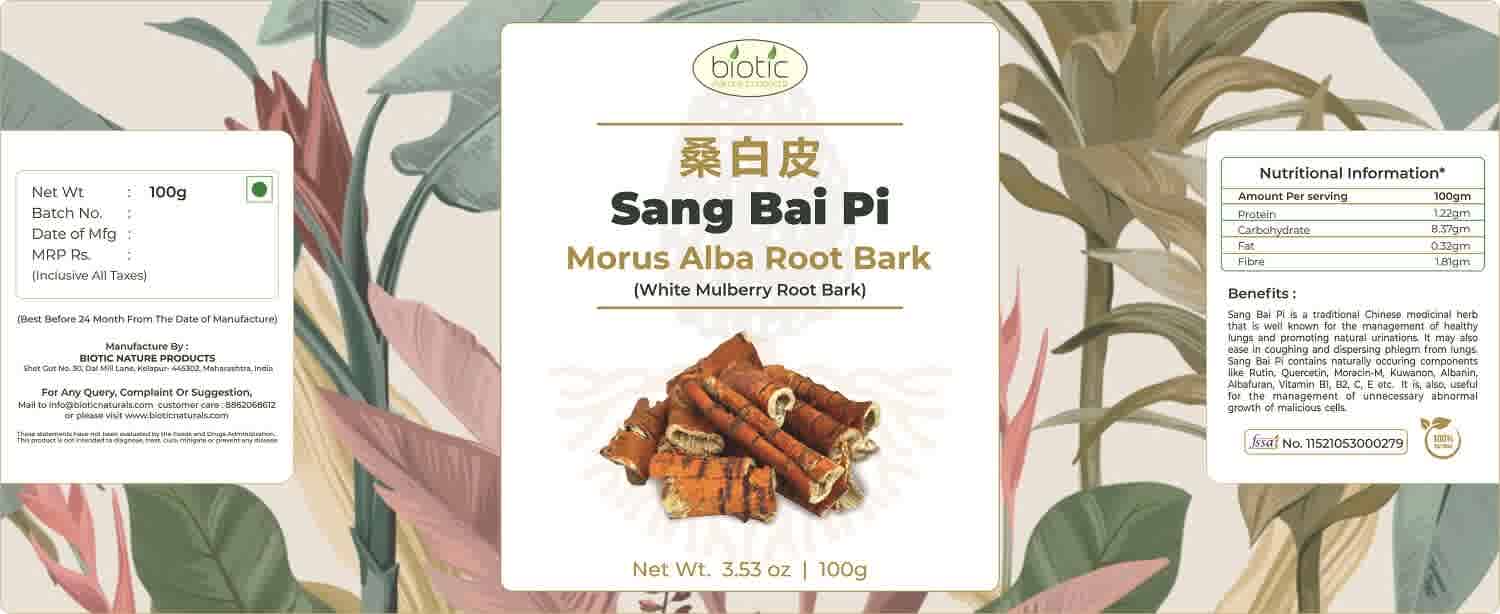 White Mulberry Root Bark - Sang Bai Pi - Morus alba L. Root Bark - 100g ...