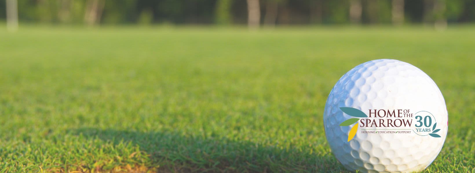 Birdease Event Software