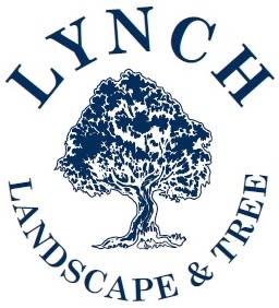 Birdease Event Software