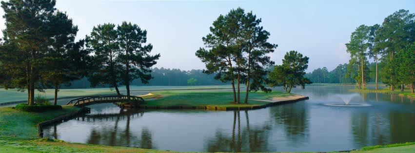 Birdease Event Software