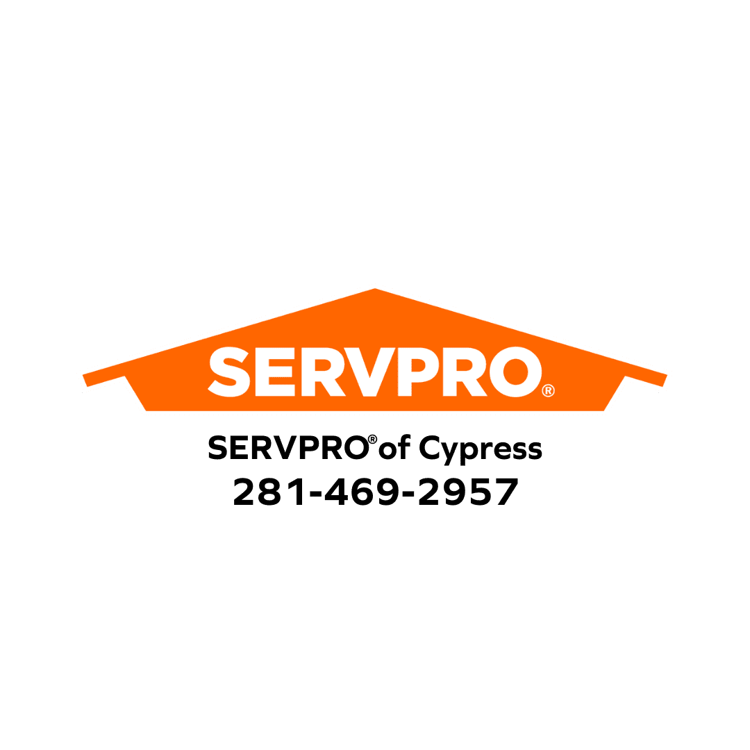 Birdease Event Software