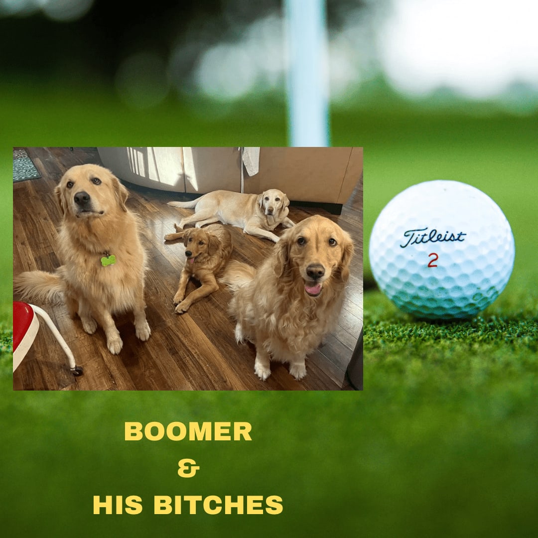 Birdease Event Software