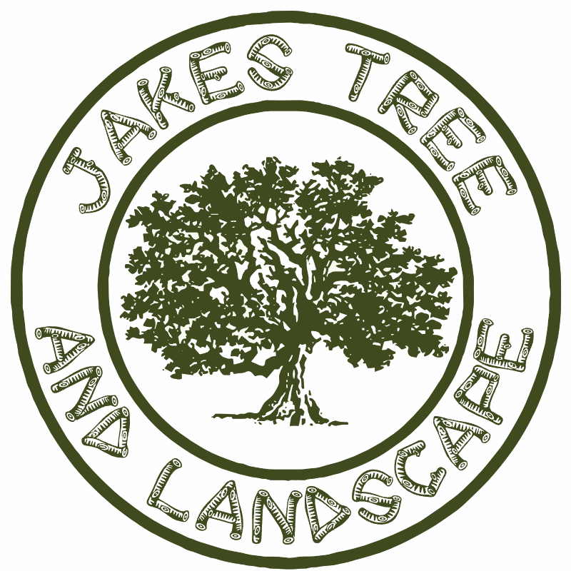 Birdease Event Software