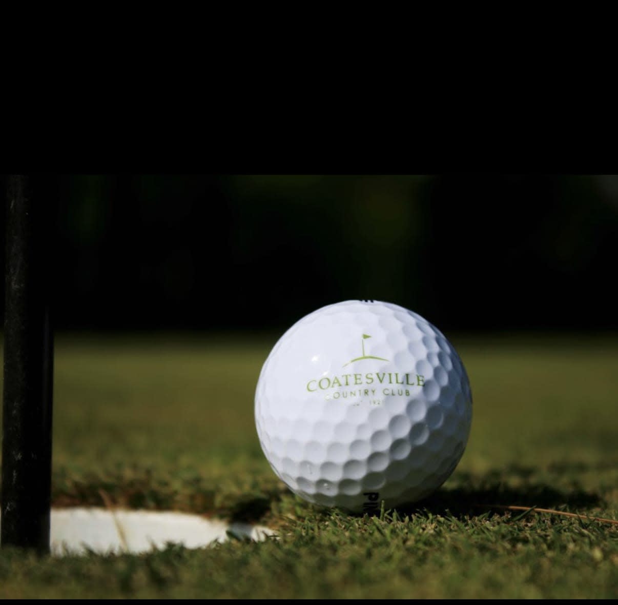 Birdease Event Software