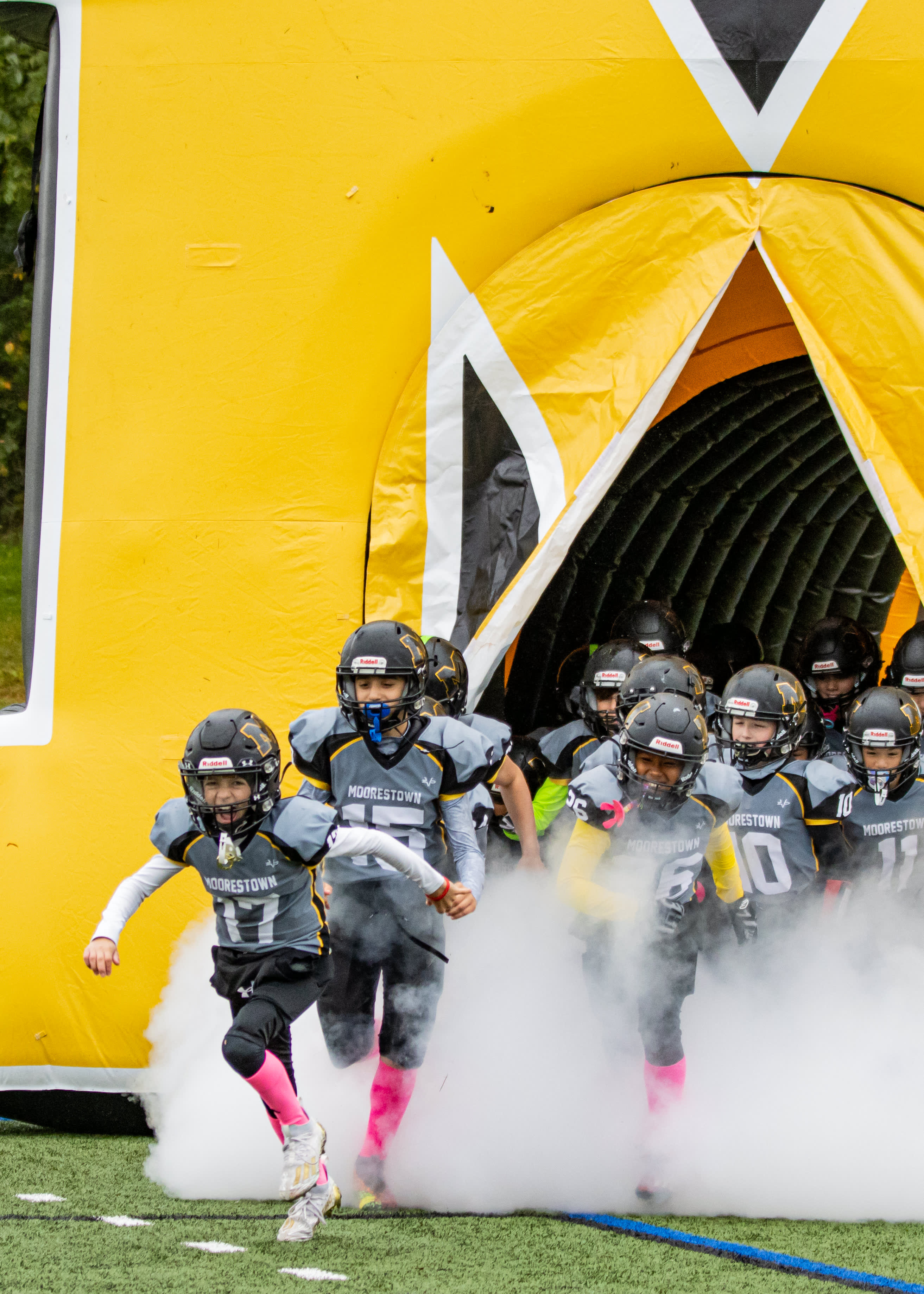 Birdease Event Software