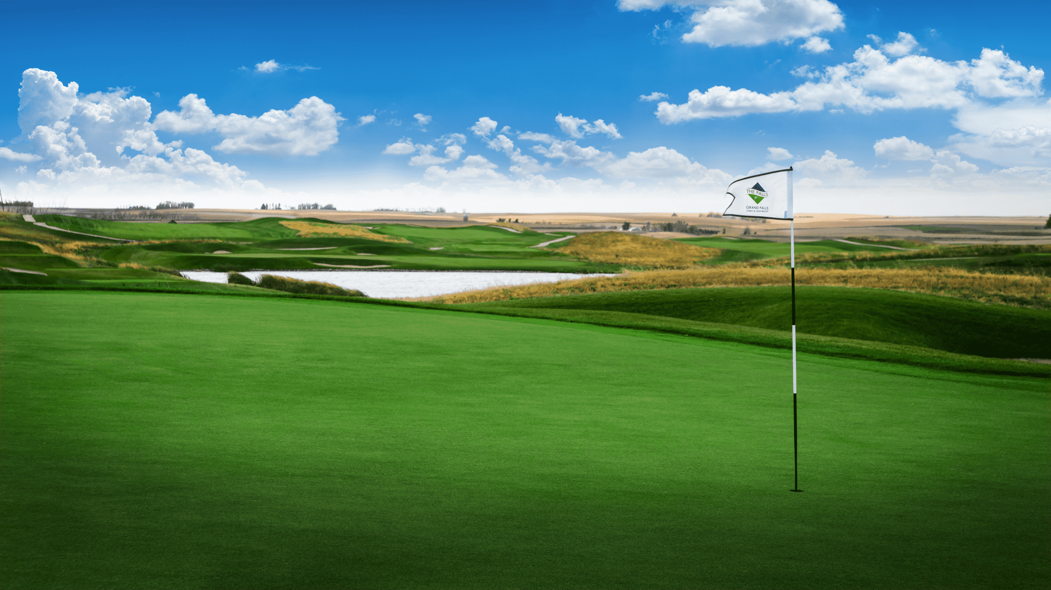 Birdease Event Software