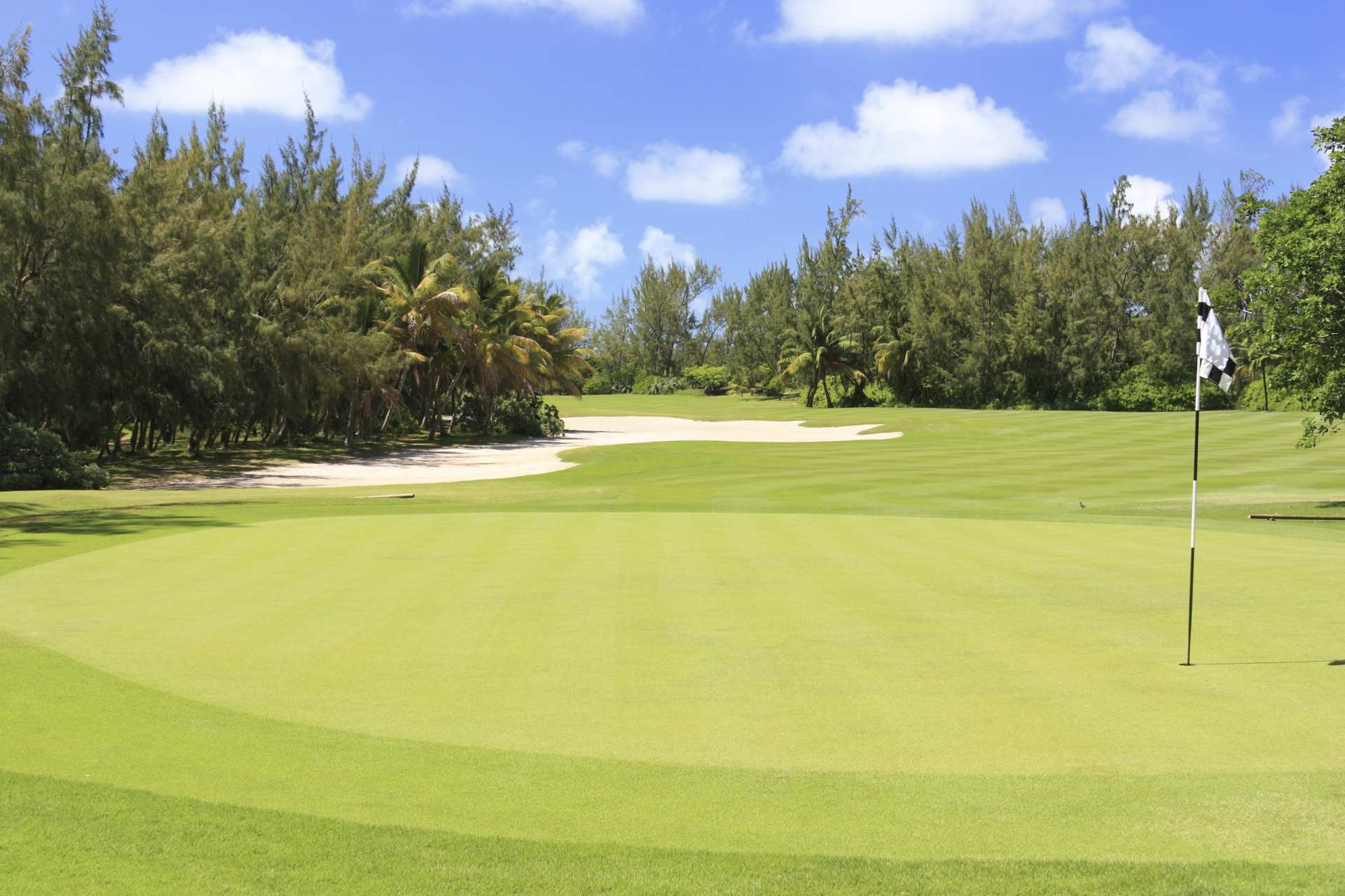 Birdease Event Software