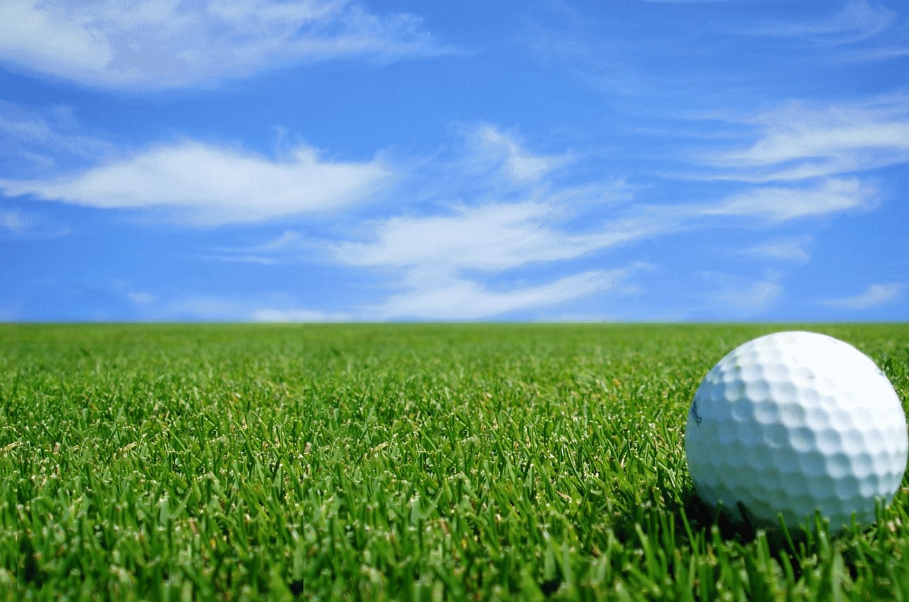 Birdease Event Software